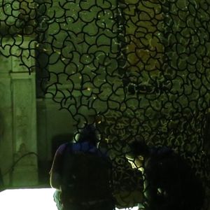 BIODIVERSA, una experiencia inmersiva - Página oficial de la Facultad ...