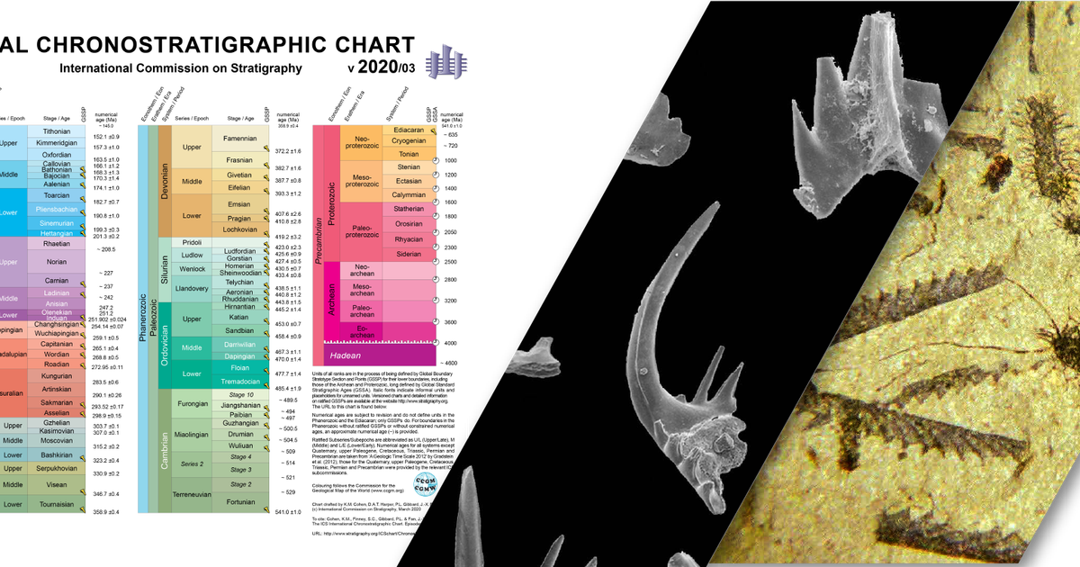 Conodontes y Graptolitos - Página oficial de la Facultad de Ciencias ...